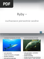 Ryby Głębinowe | PDF