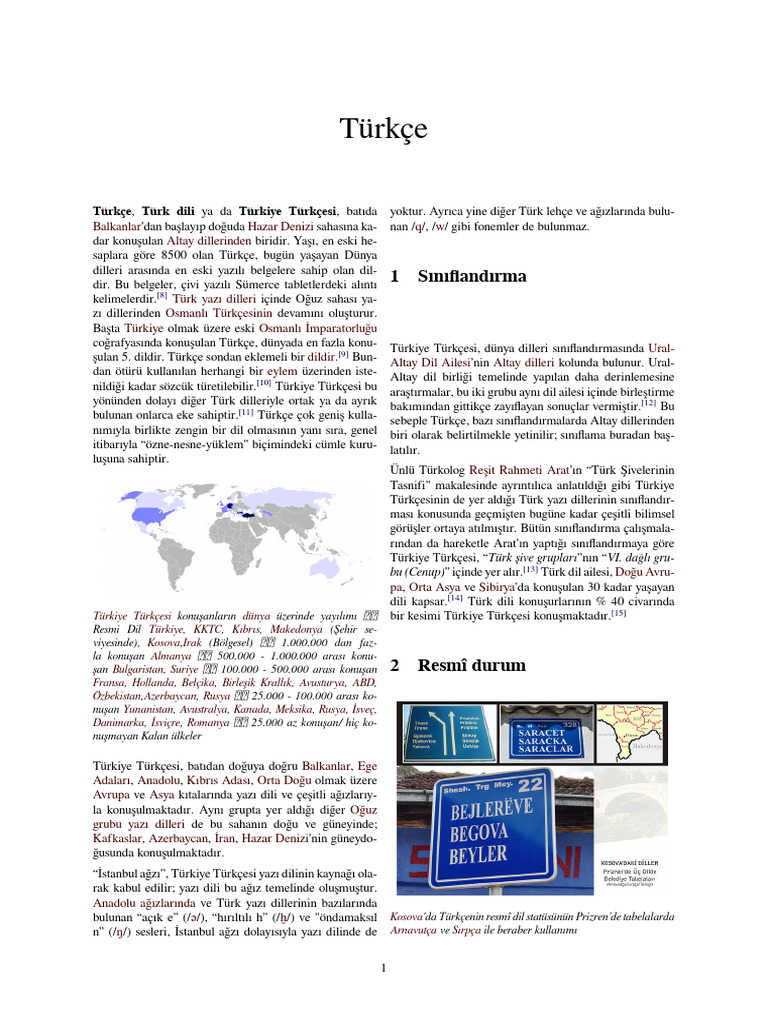 Turkce | PDF