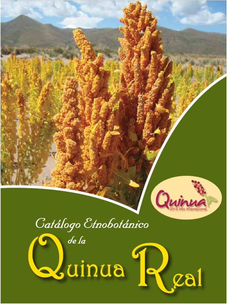 Catalogo Etnobotanico de La Quinua Real de Bolivia | PDF