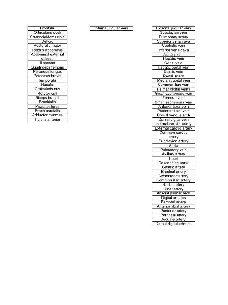 LABEL (A4 Sticker Paper) | PDF | Vein | Anatomical Terms Of Location
