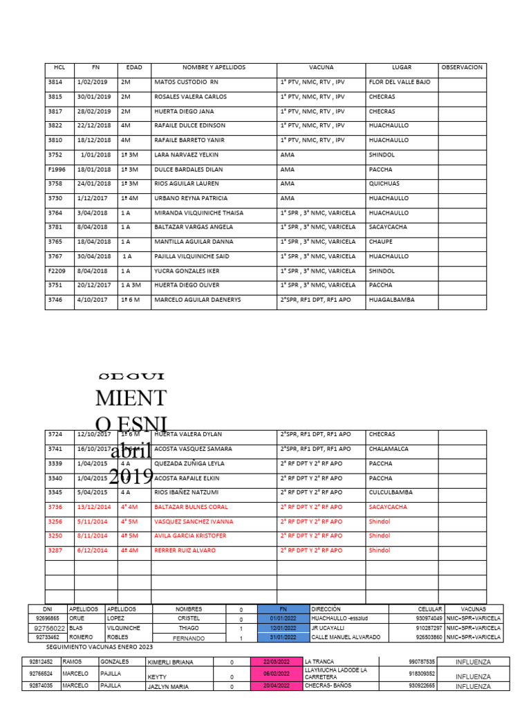 SEGUIMIENTO ESNI- 2019 | PDF