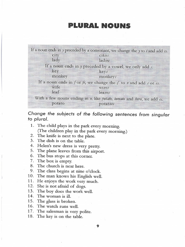 Graded Exercises - Plural Nouns | PDF