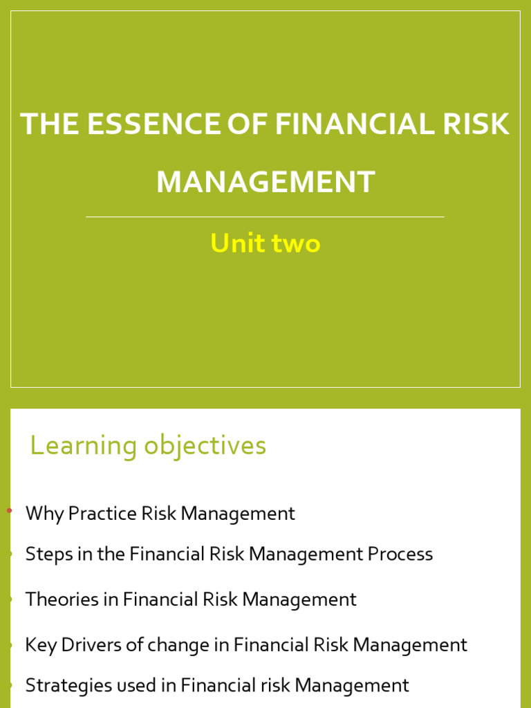 Unit 2 - Understanding the Essence of Financial Risk Management | PDF ...