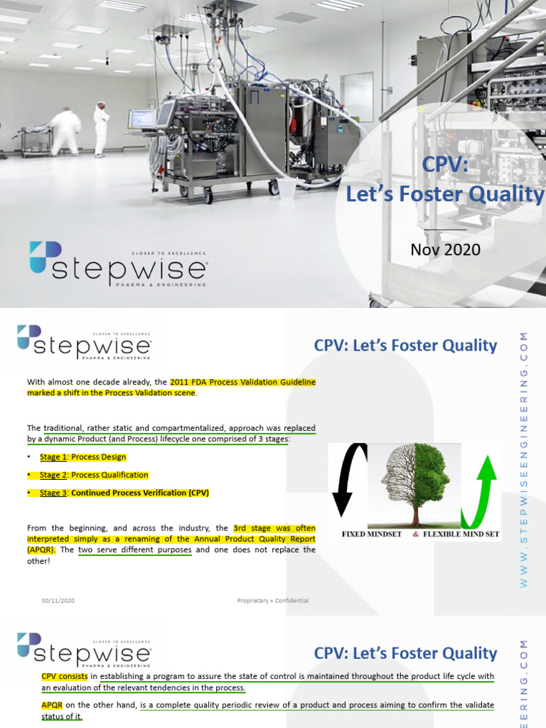 White Paper CPV Lets Foster Quality | PDF | Business