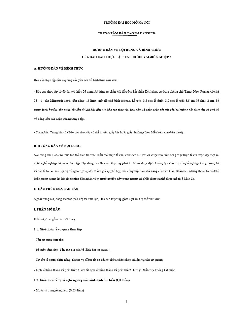 HƯỚNG DẪN VIẾT BC THỰC TẬP - NN2 | PDF