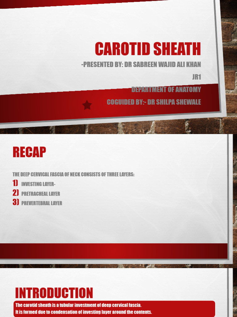 Carotid Sheet | PDF