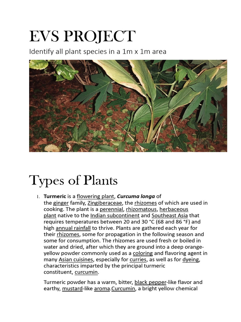 Evs Project | PDF | Turmeric | Botany