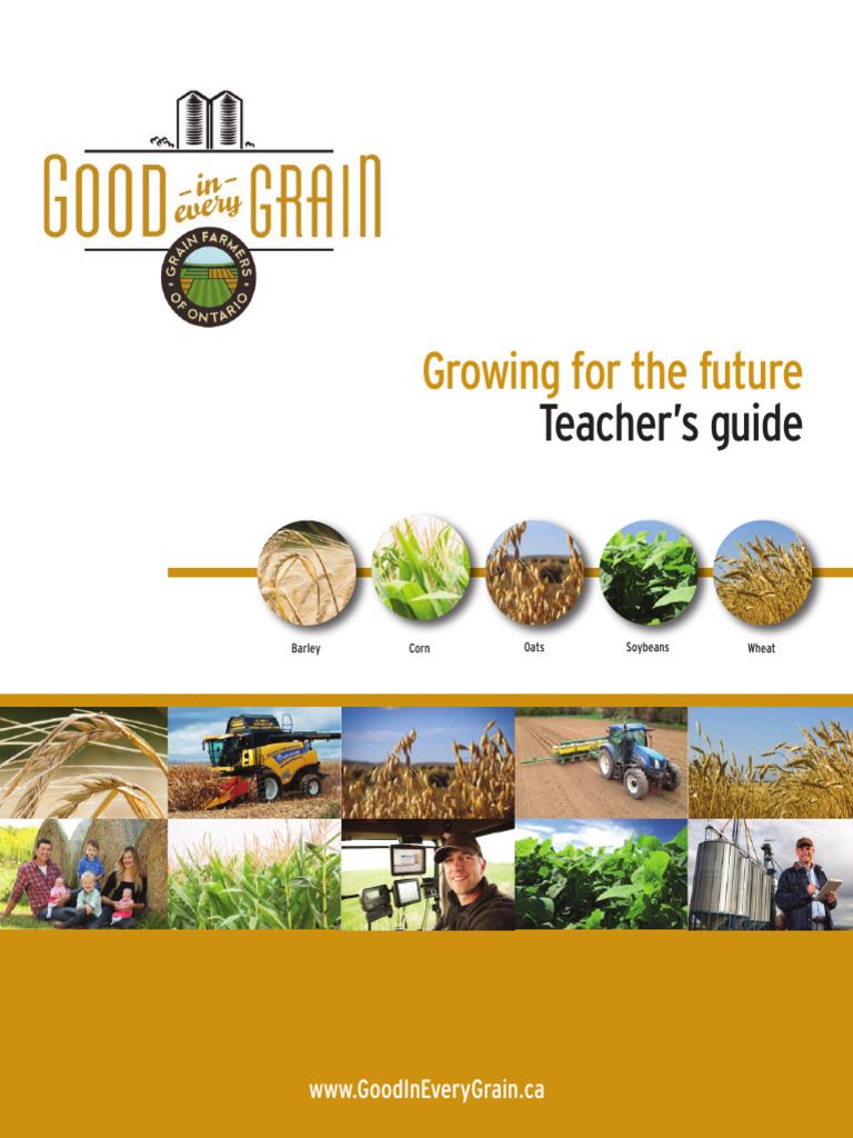 Good in Every Grain Teachers Kits E Grade 678-Web | PDF | Sustainable ...