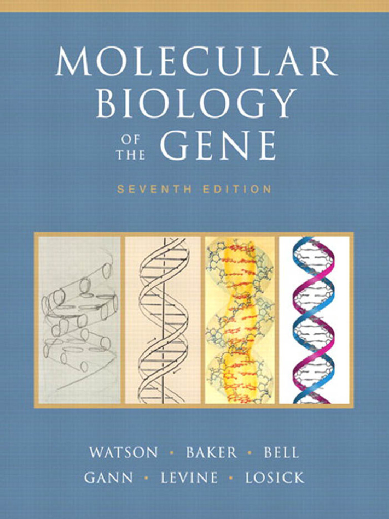 Molecular Biology of The Gene-1 | PDF