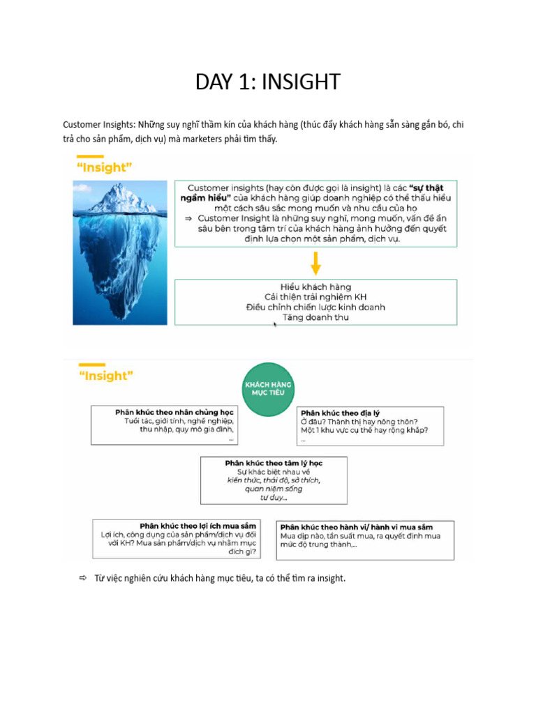 Day 1 Insight | PDF