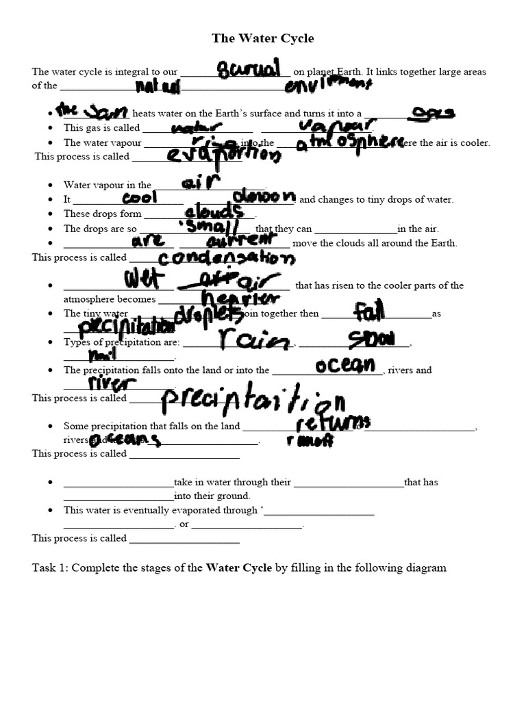 Y7 The Water Cycle | PDF | Water Cycle | Precipitation