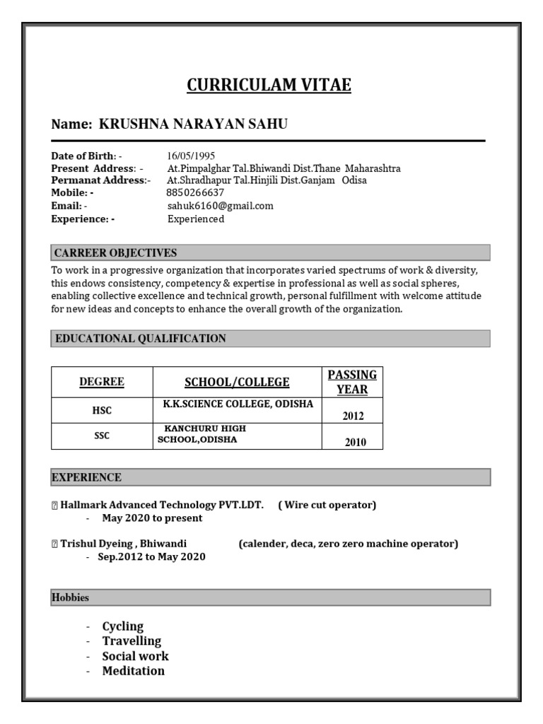 Krushna Sahu's Professional CV | PDF