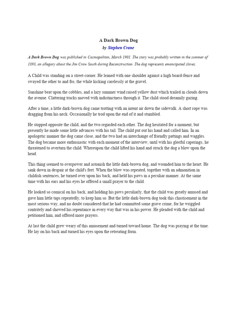 Summary of A Dark Brown Dog | PDF | Mystery, Thriller & Crime Fiction