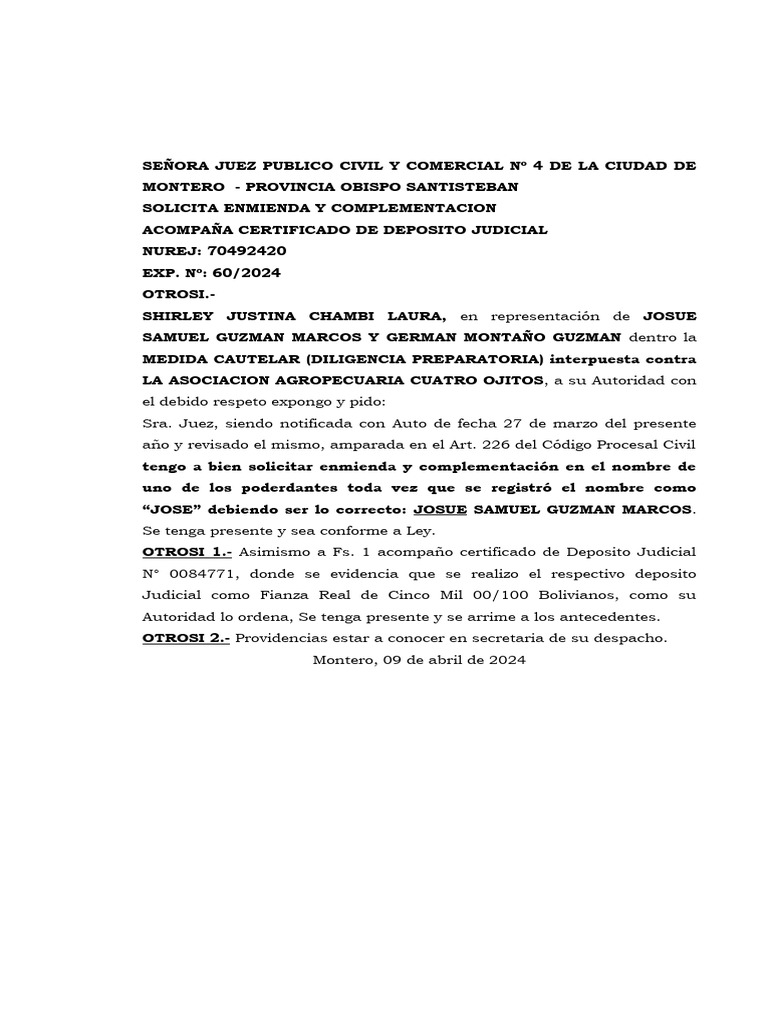 ENMIENDA | PDF