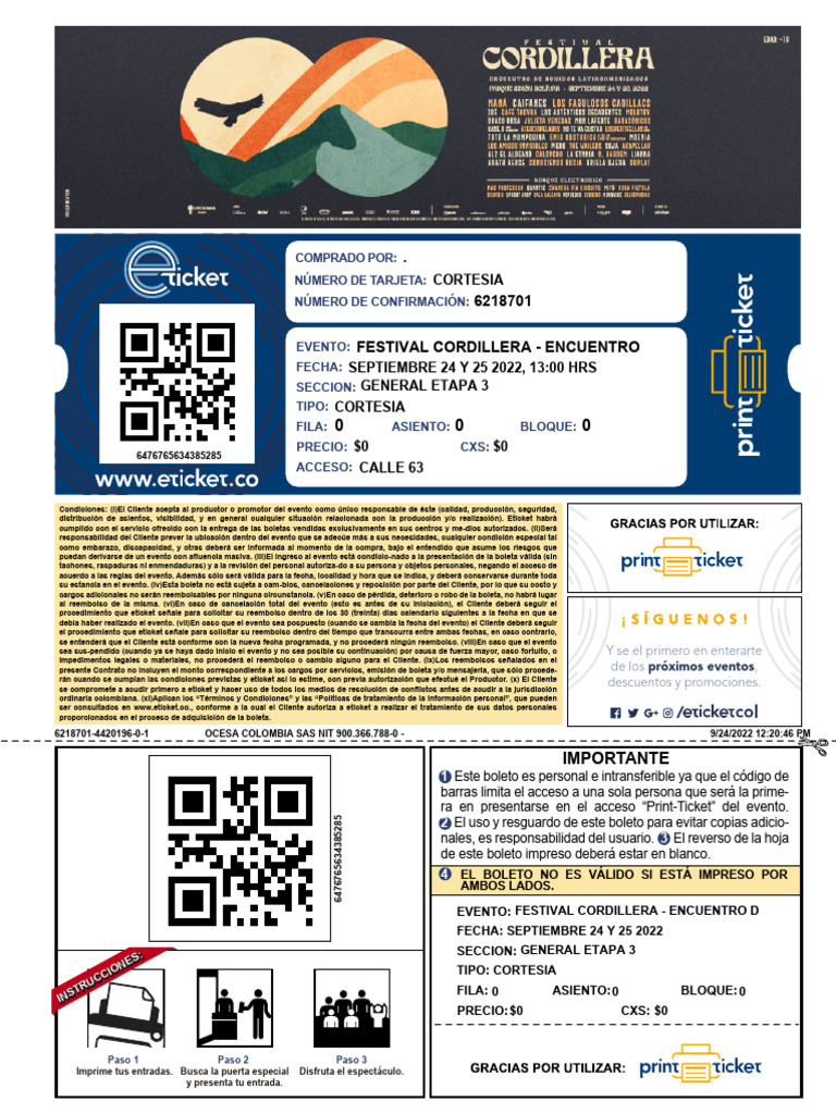 Boletas Tu Boleta | PDF