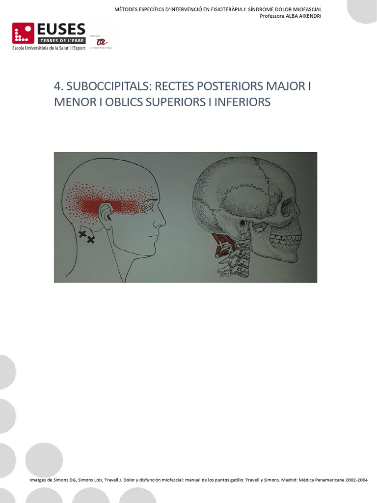 Tema6 - 4 - Altres Músculs | PDF