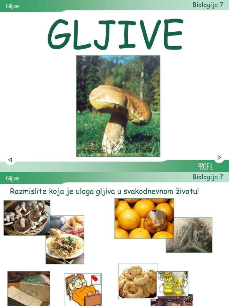 Gljive I Lišajevi | PDF