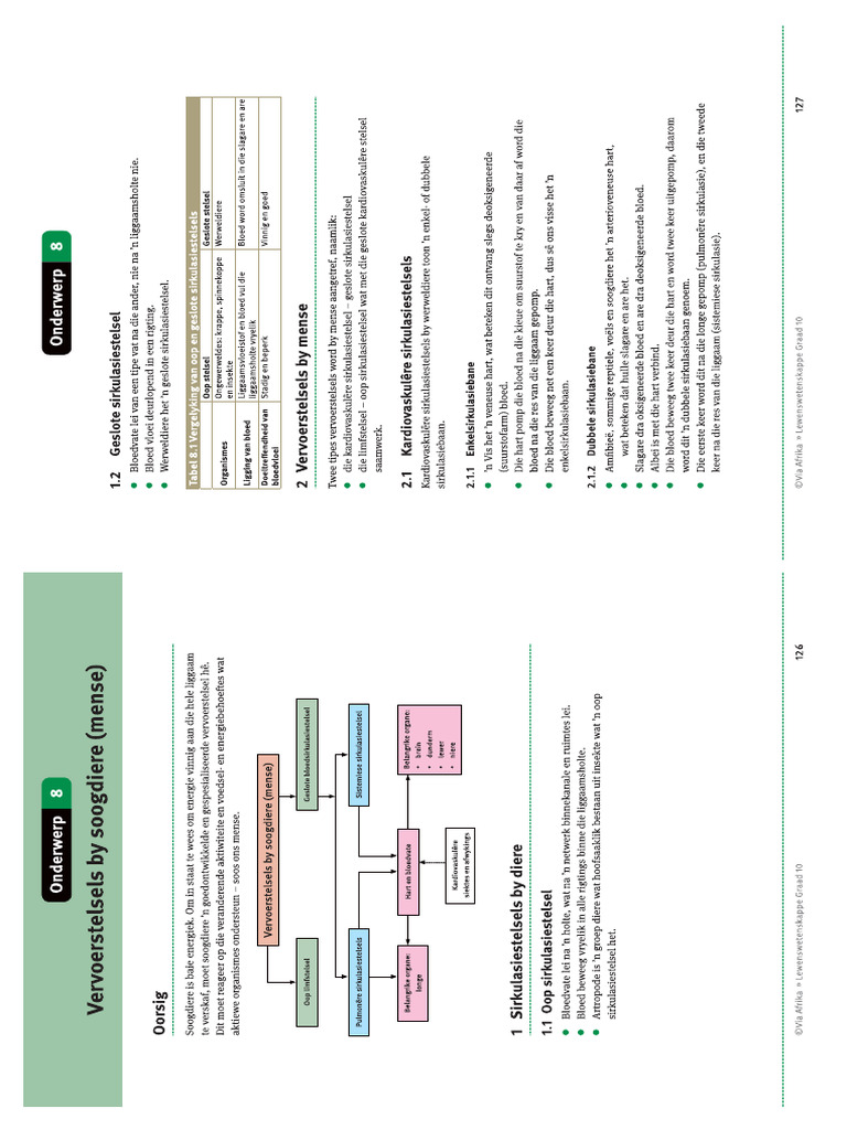 GR 10 Via Afrika Opsomming Vervoerstelsel in Die Mens | PDF