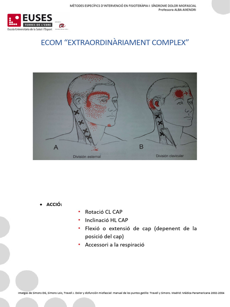 Tema6 1 Ecom | PDF