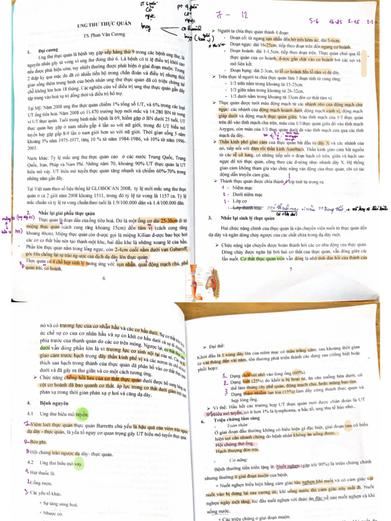 Ytb | PDF