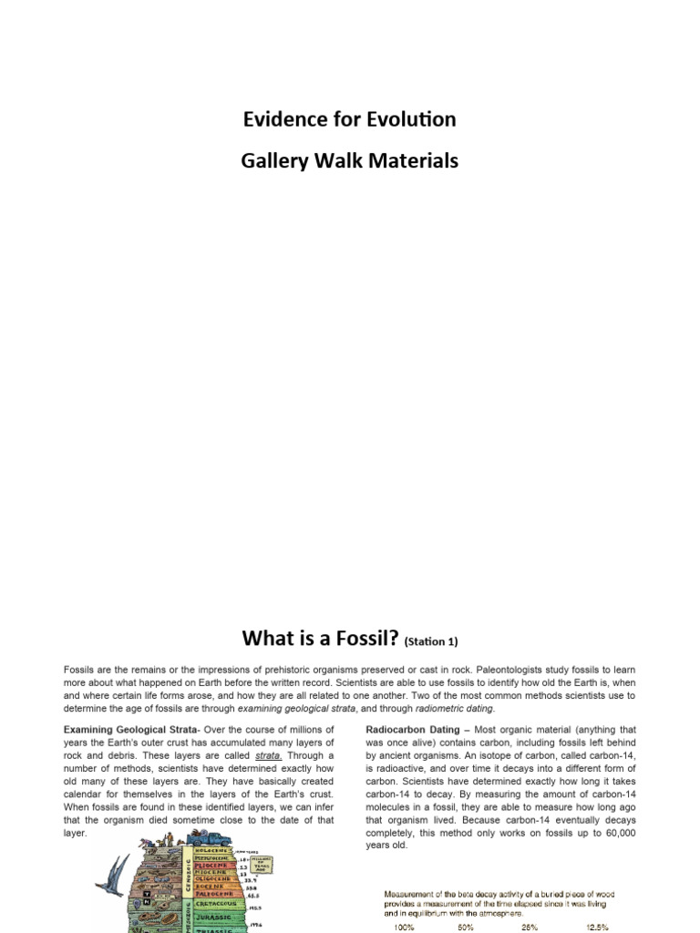 Gallery Walk - Evidence For Evolution - Walk Cards (Student) | PDF ...