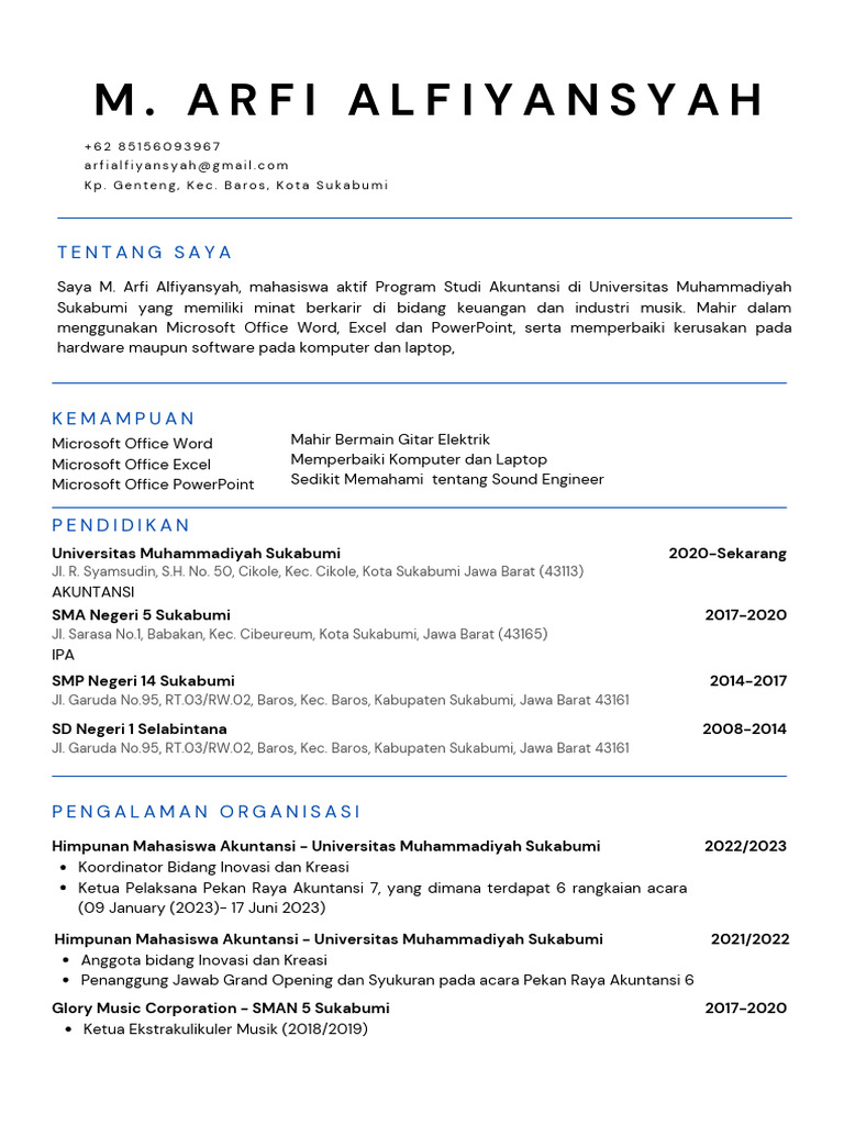 White Gold Elegant Minimalist Data Analyst Resume CV A4 Printable | PDF