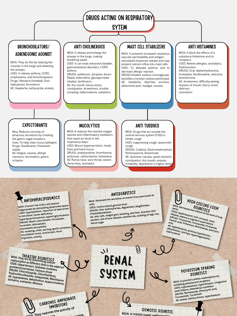 Concept Map | PDF | Drugs | Clinical Medicine