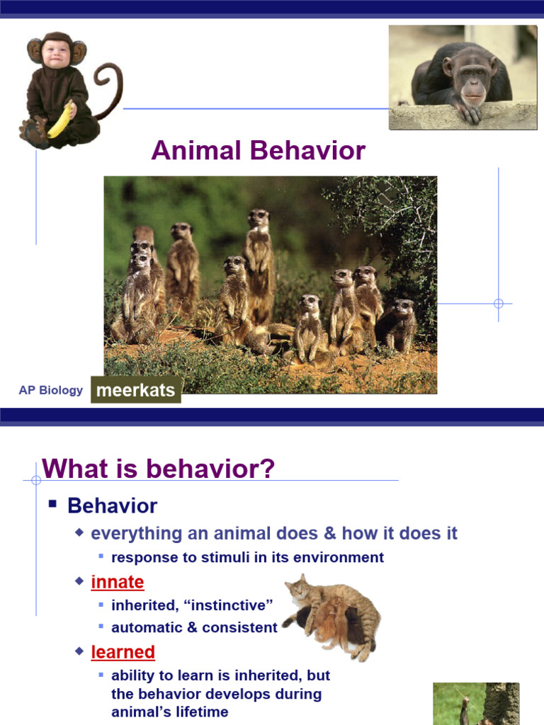 Animal Behavior | PDF | Ethology | Classical Conditioning