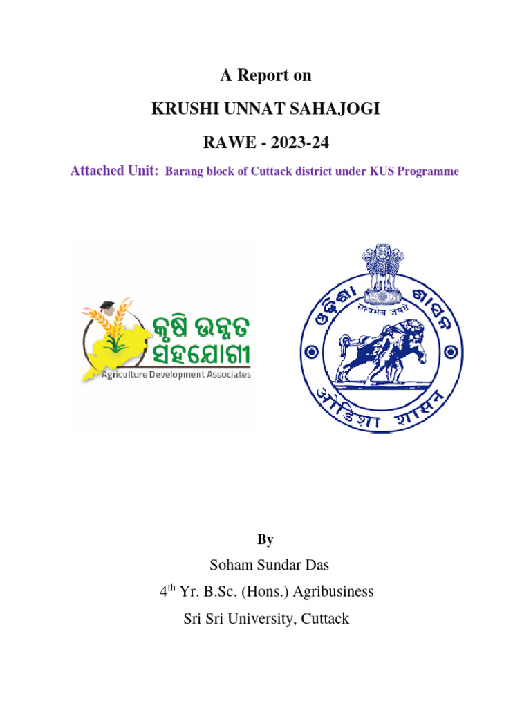 Kus Report | Download Free PDF | Point Of Sale | Agriculture
