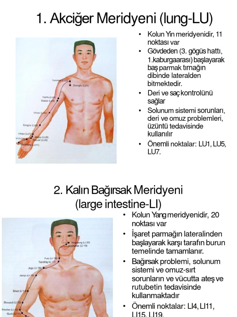 Meridyen Noktaları | PDF