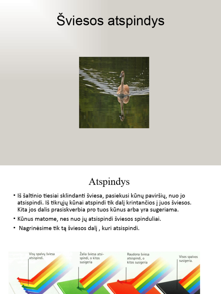 Sviesos Atspindys | PDF