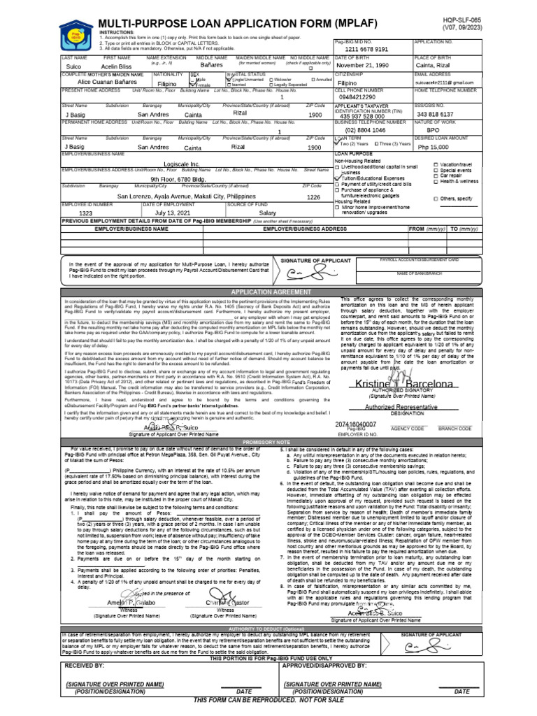 Multi-Purpose Loan Application Form: (Mplaf) | Download Free PDF ...