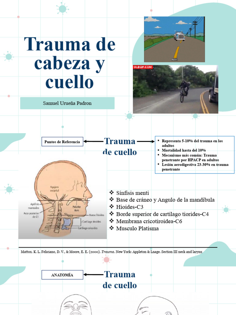 Trauma de Cabeza y Cuello | Descargar gratis PDF | Laringe | Medicina ...