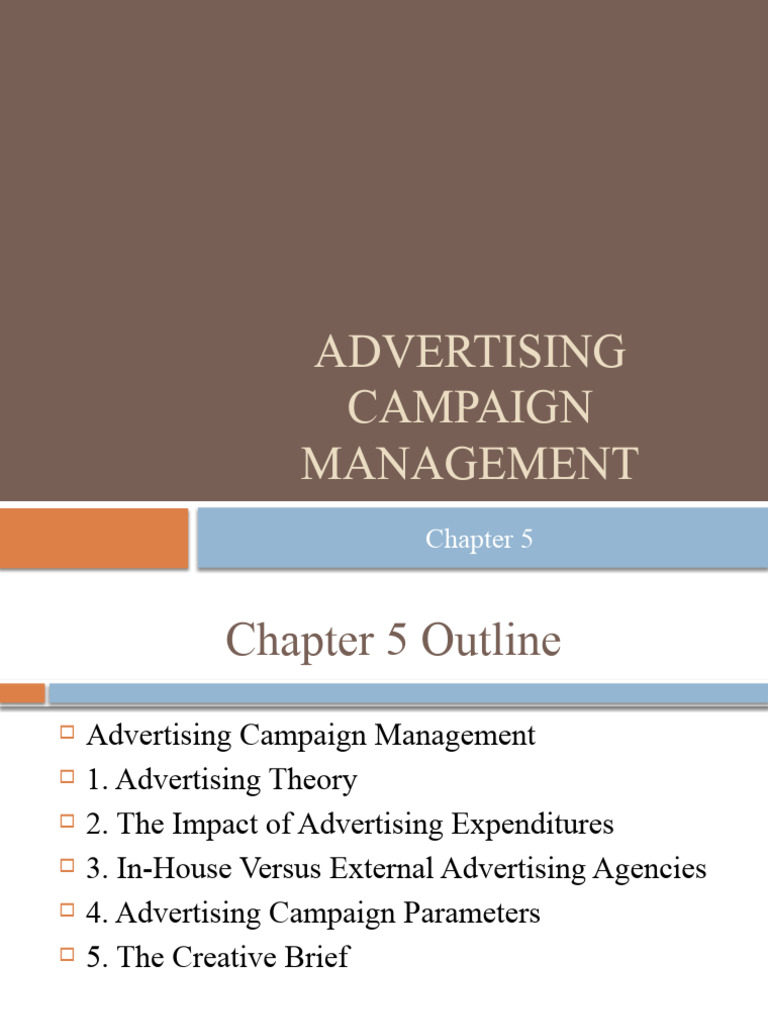 Advertising Campaign Management Insights | PDF | Advertising | Brand
