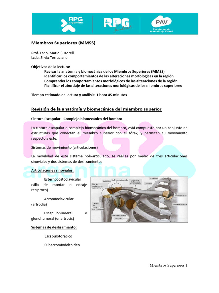 Anatomía y Biomecánica de los MMSS | PDF | Mano | Codo