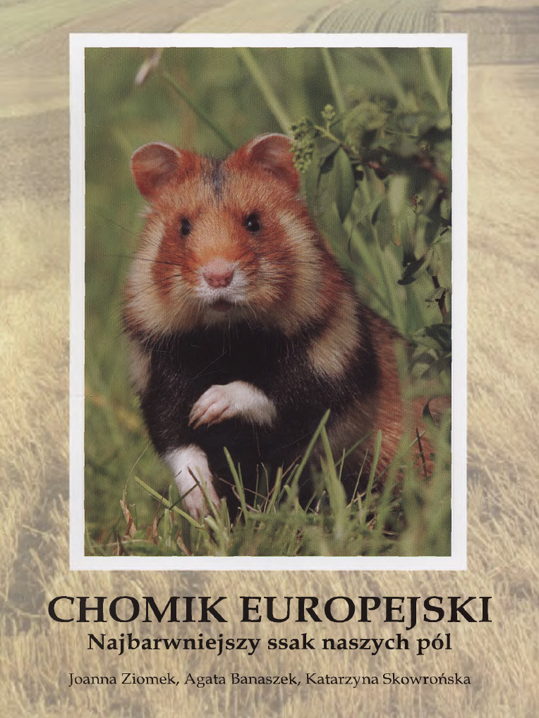 Chomik | PDF