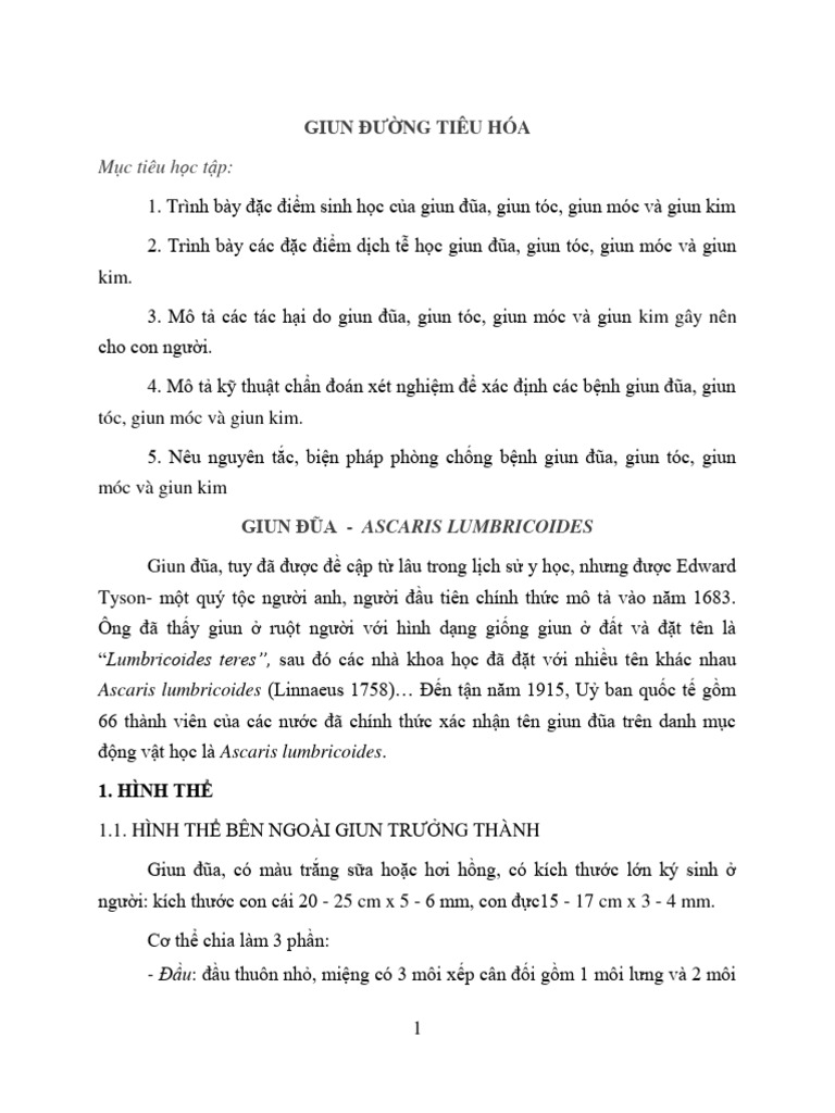 2.6. Giun Đư NG Ru T | PDF