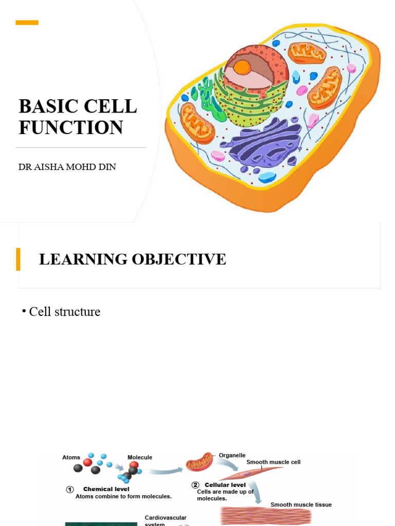 2.1 Basic Cell Function | PDF | Cell Membrane | Endoplasmic Reticulum
