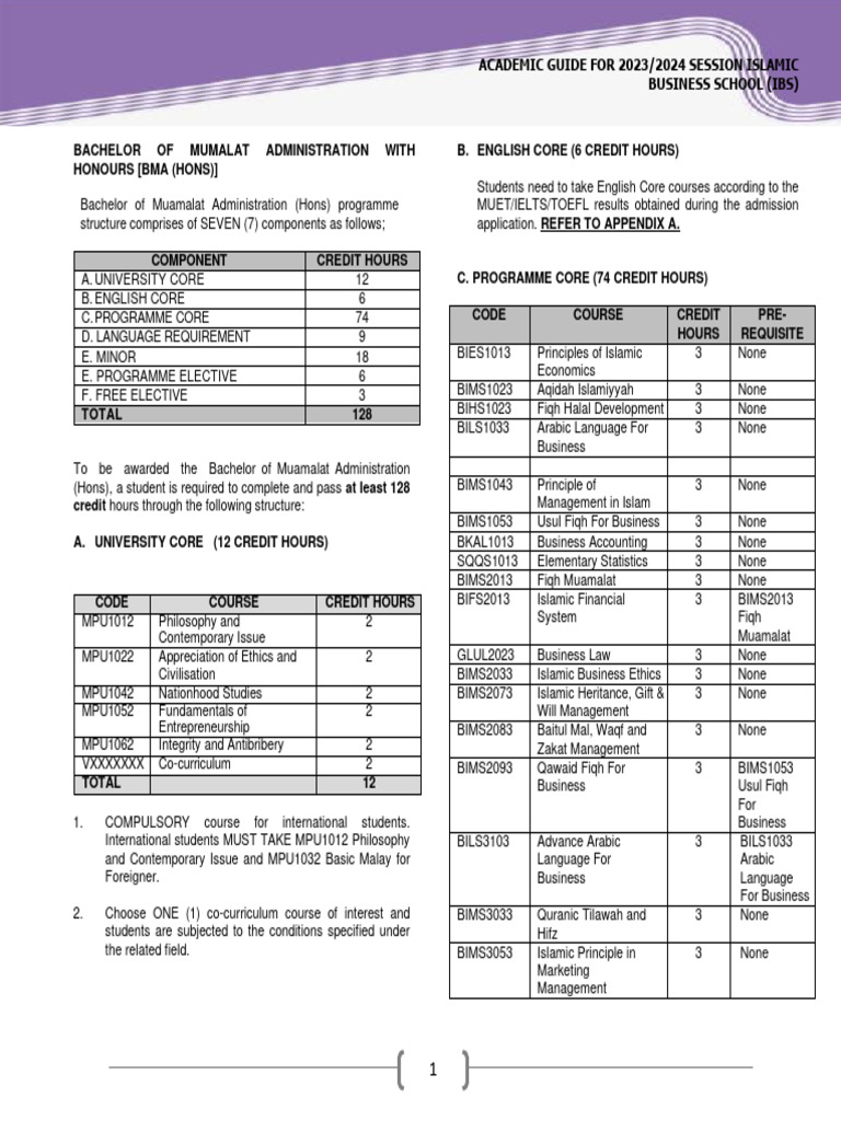 Struktur Program Bma Ibs | PDF