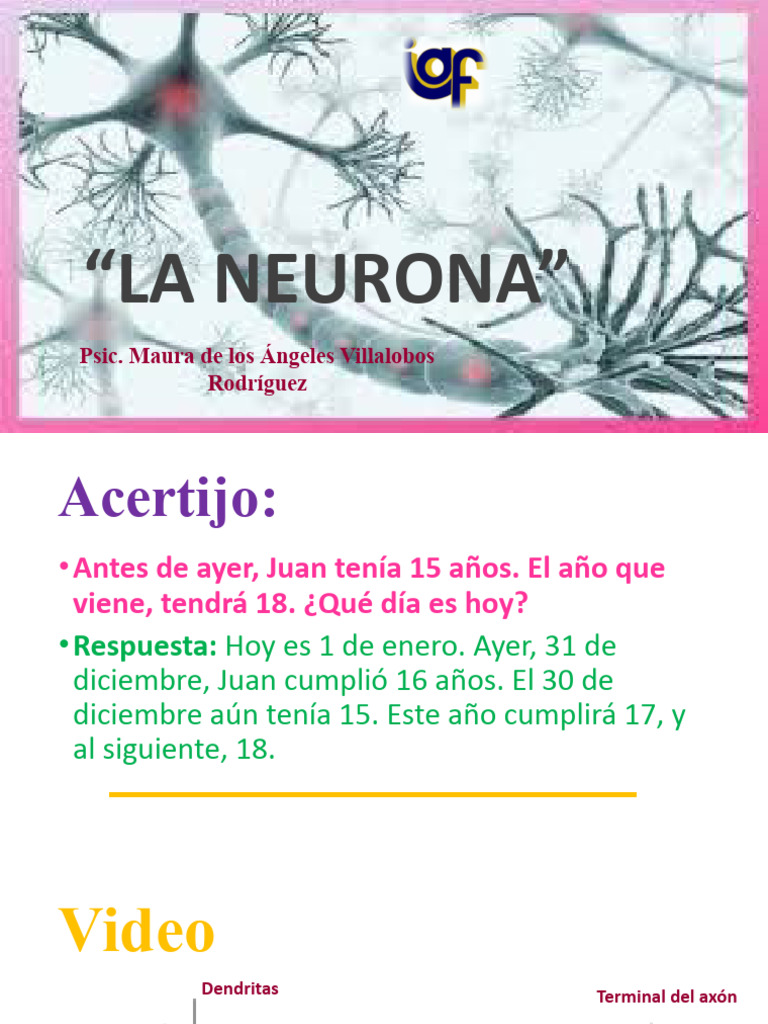 La Neurona | PDF | Axon | Neurona