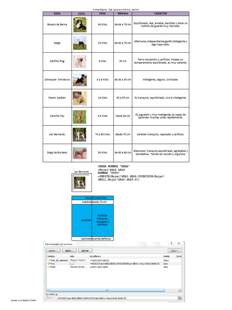Control de Mascotas 2022 | PDF | Perros | Subespecie De Canis Lupus