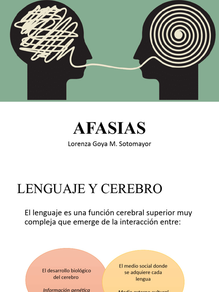 Afasias 2022 | PDF | Afasia | Cerebro