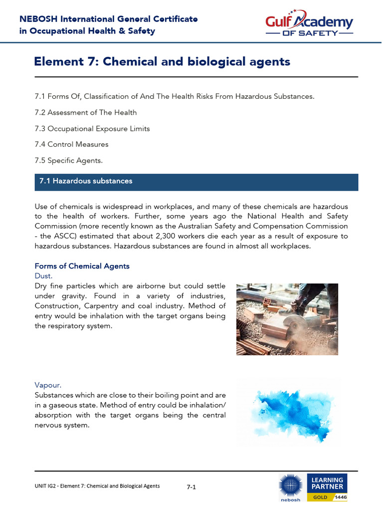 Chemical and Biological Hazards Overview | PDF | Respiratory Tract ...