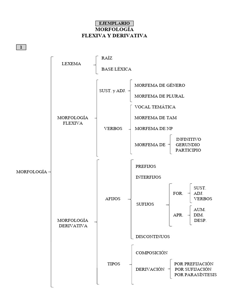 Morfología. PREFIJOS. SUFIJOS, INTERFIJOS | PDF | Morfología ...