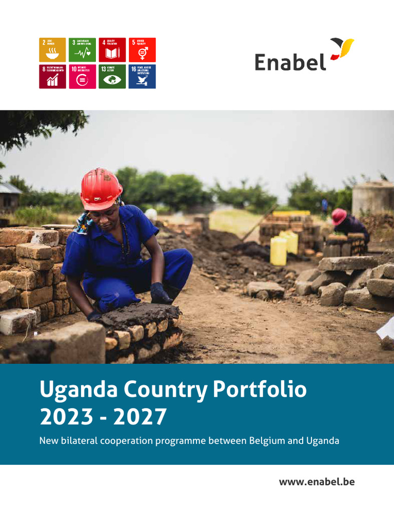 Country Portfolio Summary Profile | PDF | Governance | Nursing