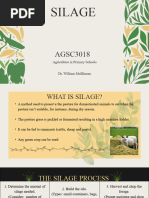 Goat Skeletal Anatomy Overview | PDF | Vertebra | Vertebral Column