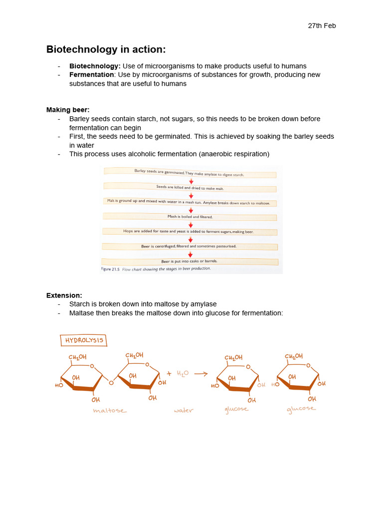 Biotechnology Applications in Fermentation | PDF | Fermentation | Yeast