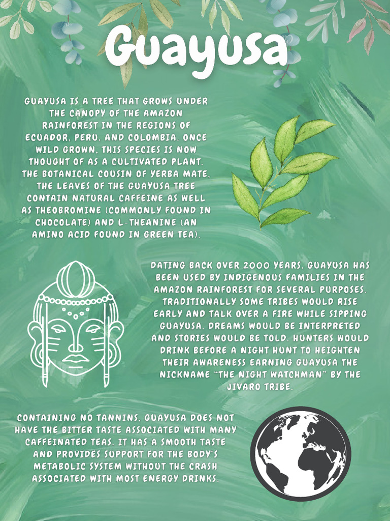 Guayusa Extract | PDF