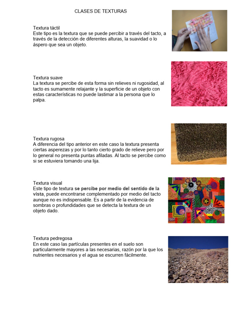 Clases de Texturas | PDF | Piel