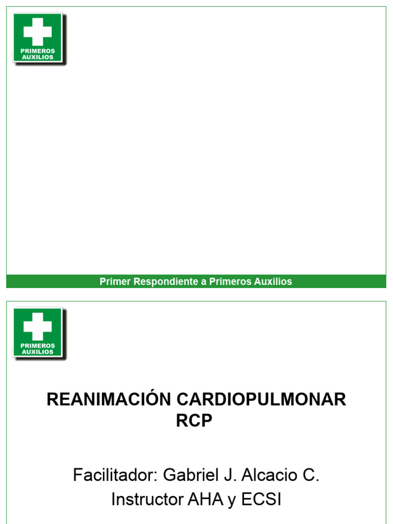 Primer Respondiente A Primeros Auxilios | PDF | Reanimación cardiopulmonar | Quemar